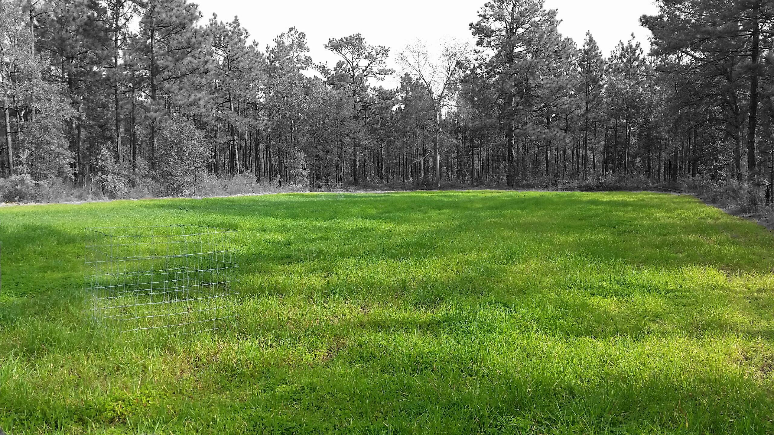 Food Field Locations - Fort Bragg - iSportsman
